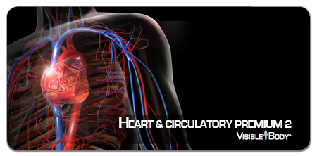 Visible Body Heart and Circulatory Premium v2 - Damas Wiki