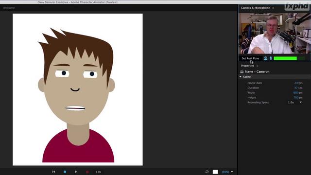 Fundamentals of Adobe Character Animator CC - Damas Wiki