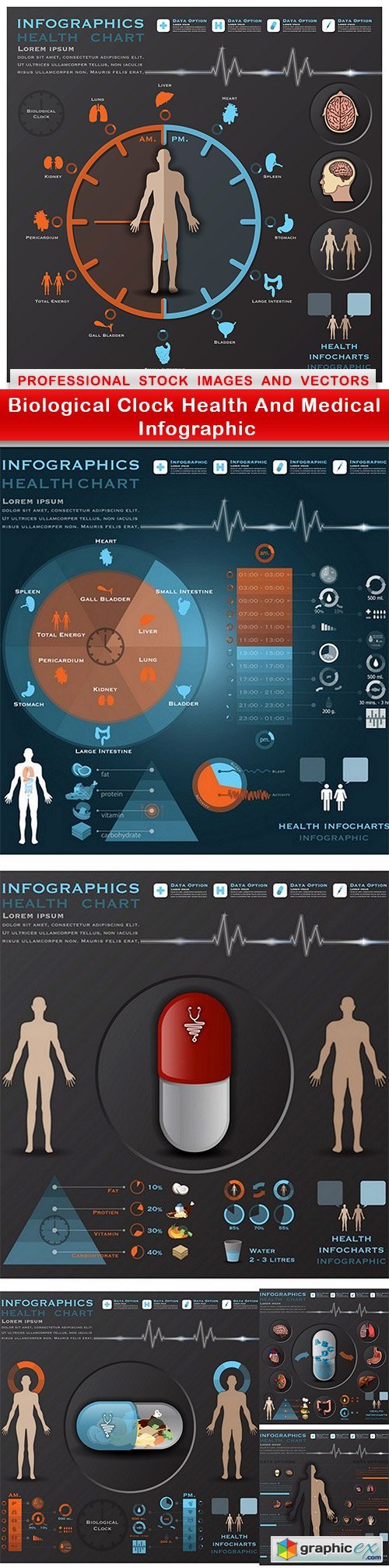 Biological Clock Health And Medical Infographic - 6 EPS - Damas Wiki